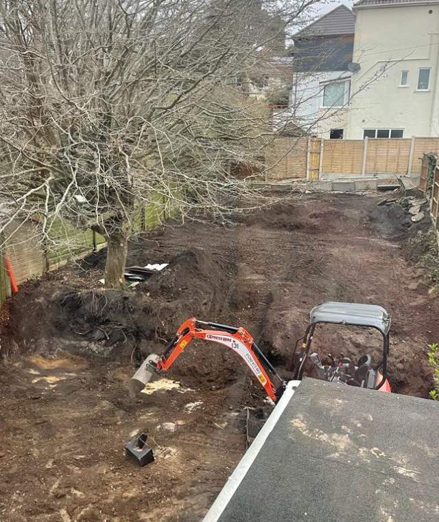 Ashley Cross, Poole - Bamboo Landscape